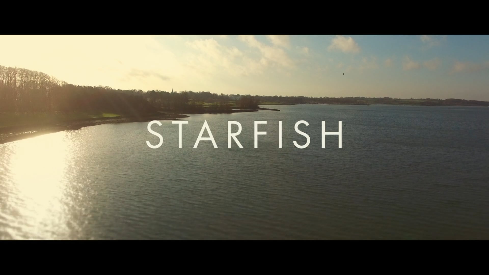 Starfish | Trailer on Vimeo
