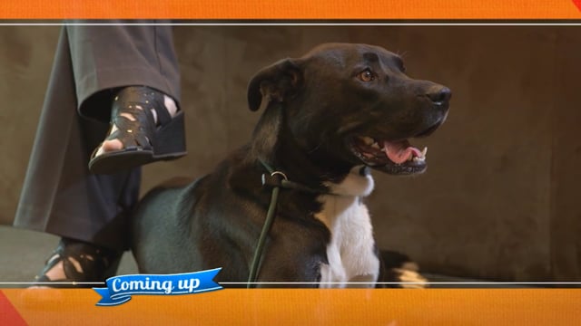 One Magnificent Morning on Vimeo