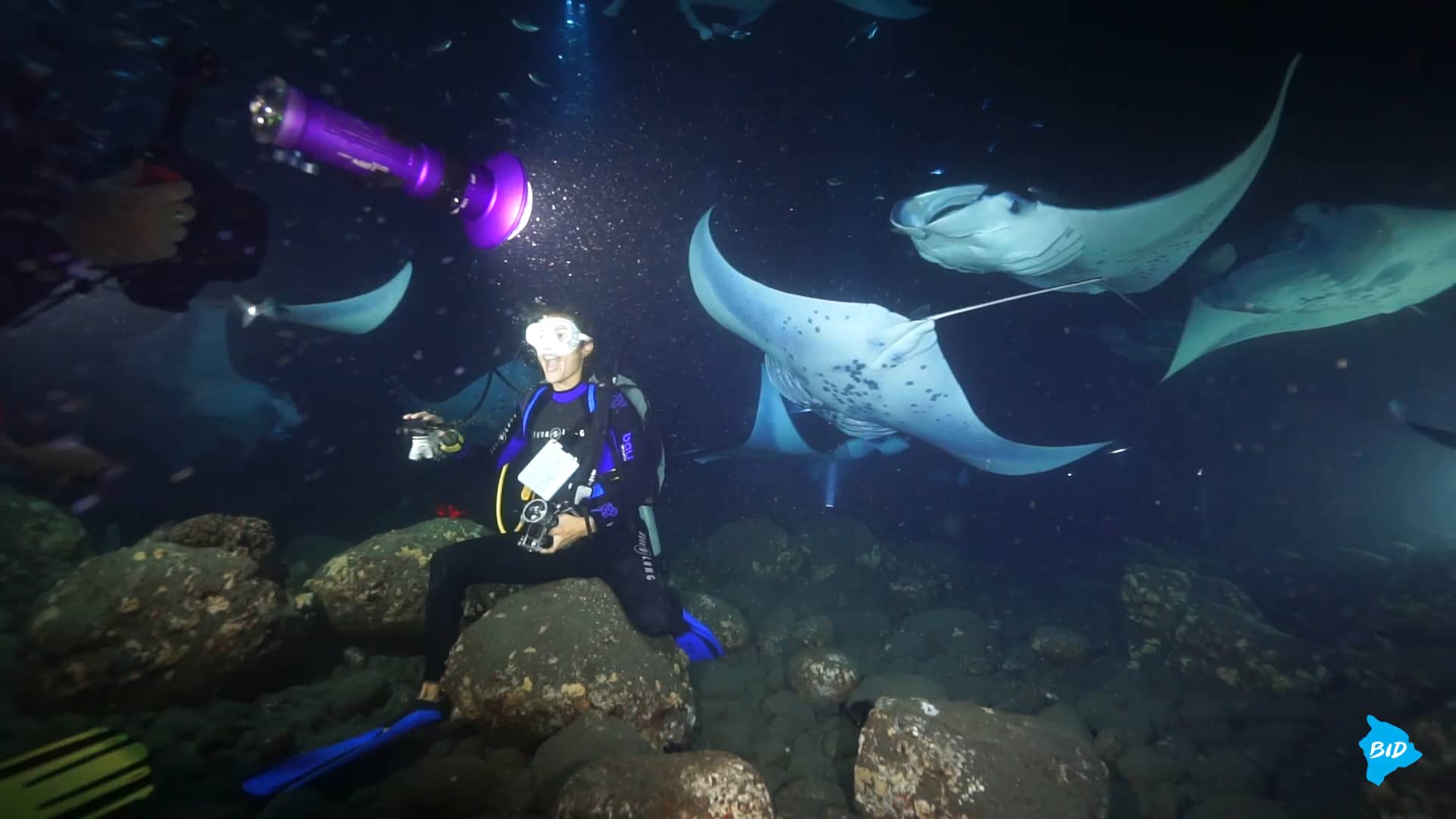 Manta Ray SCUBA Night Dive on Vimeo