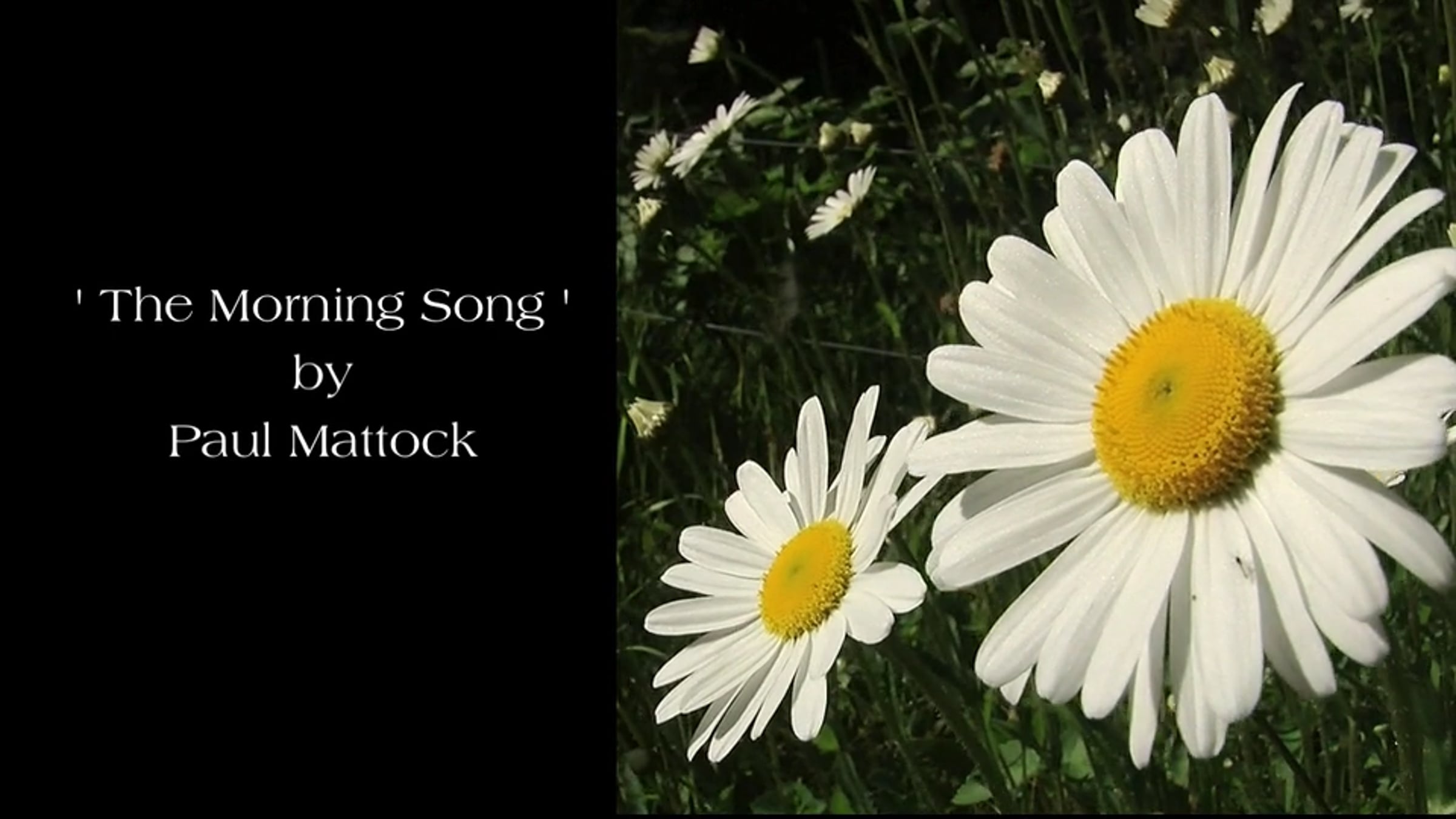 ' The Morning Song ' composed and performed by Paul Mattock