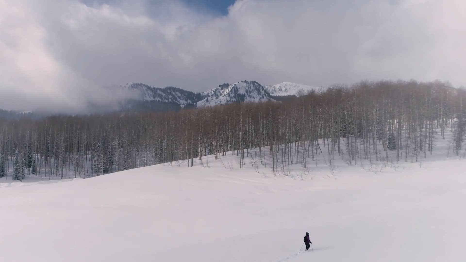 Save Bonanza Flats | UTAH OPEN LANDS www.savebonanzaflats.org on Vimeo