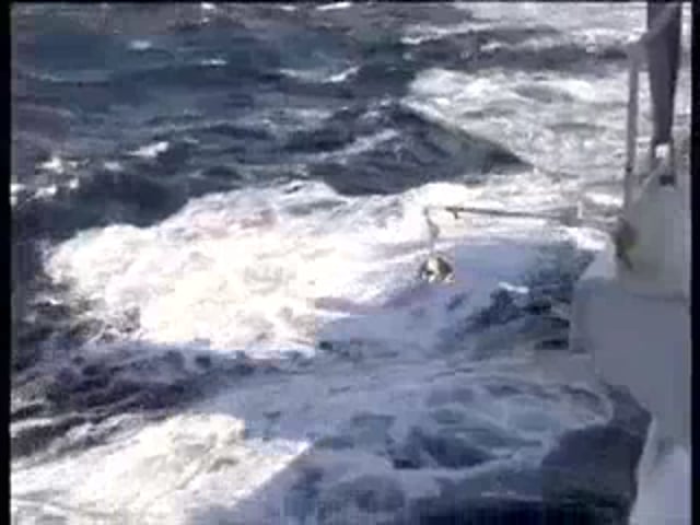 Ross Sea currents — Science Learning Hub