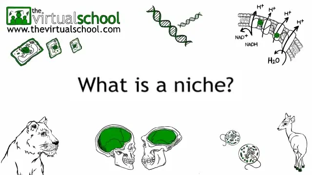 Ecology what is a niche Biology for All FuseSchool