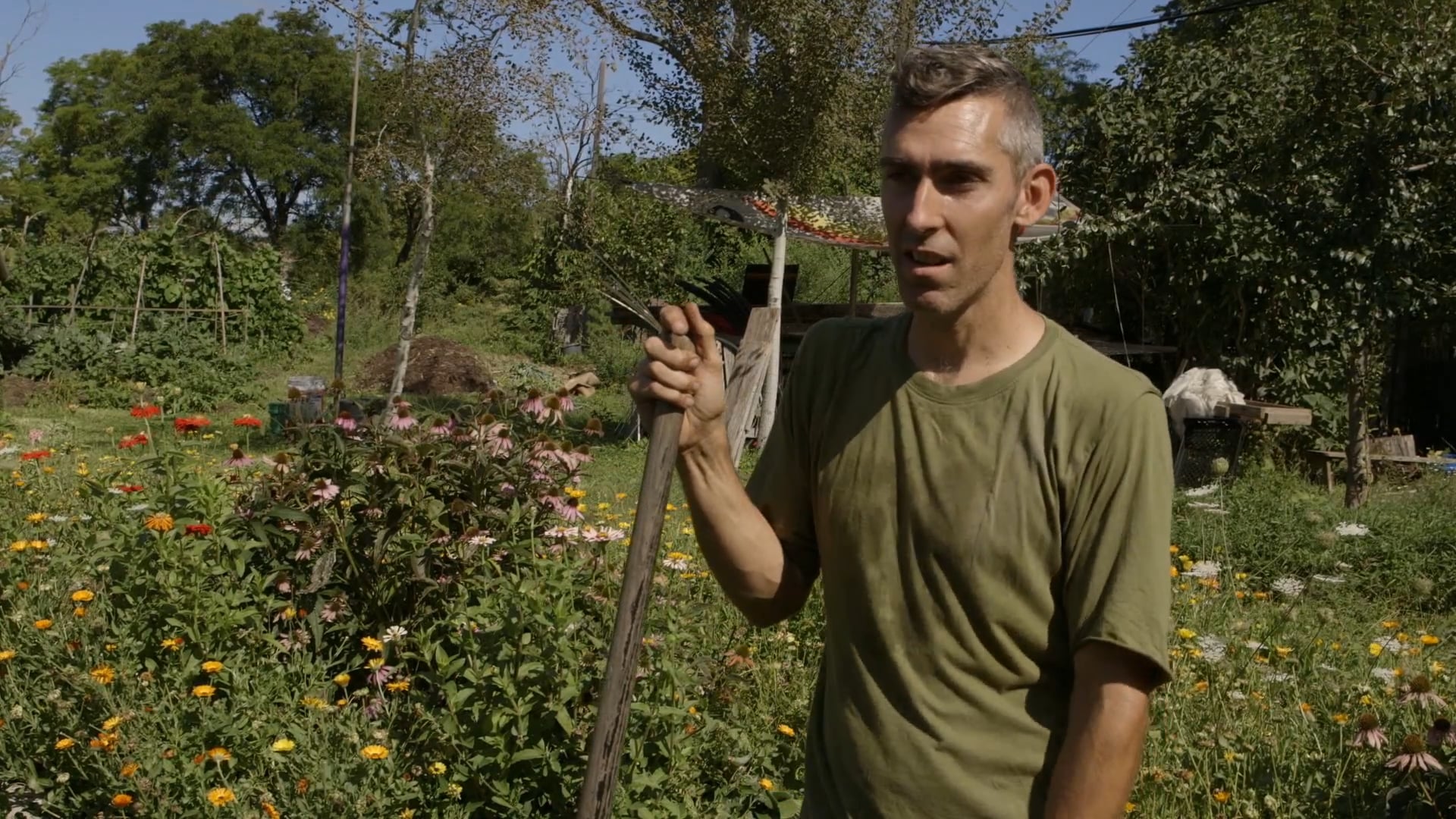 Watch Wild Plants Online | Vimeo On Demand on Vimeo