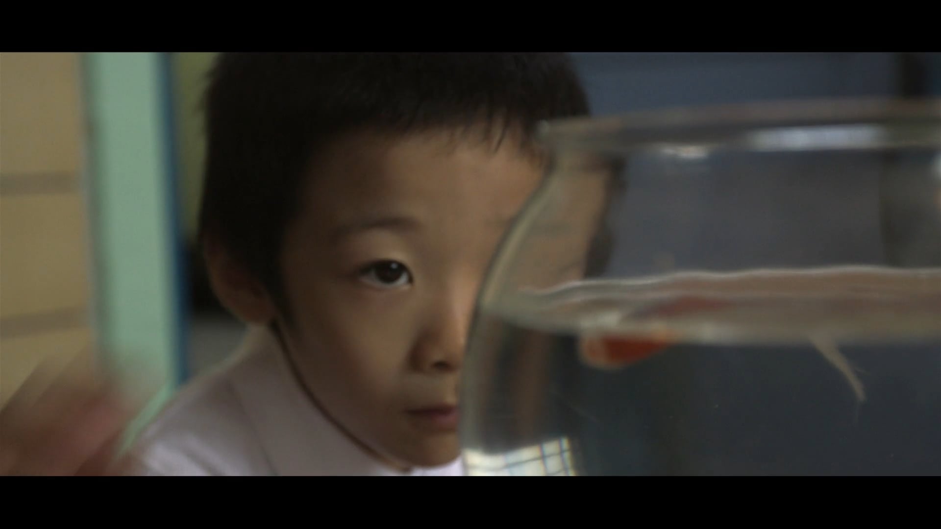 金鱼 (Goldfish) on Vimeo
