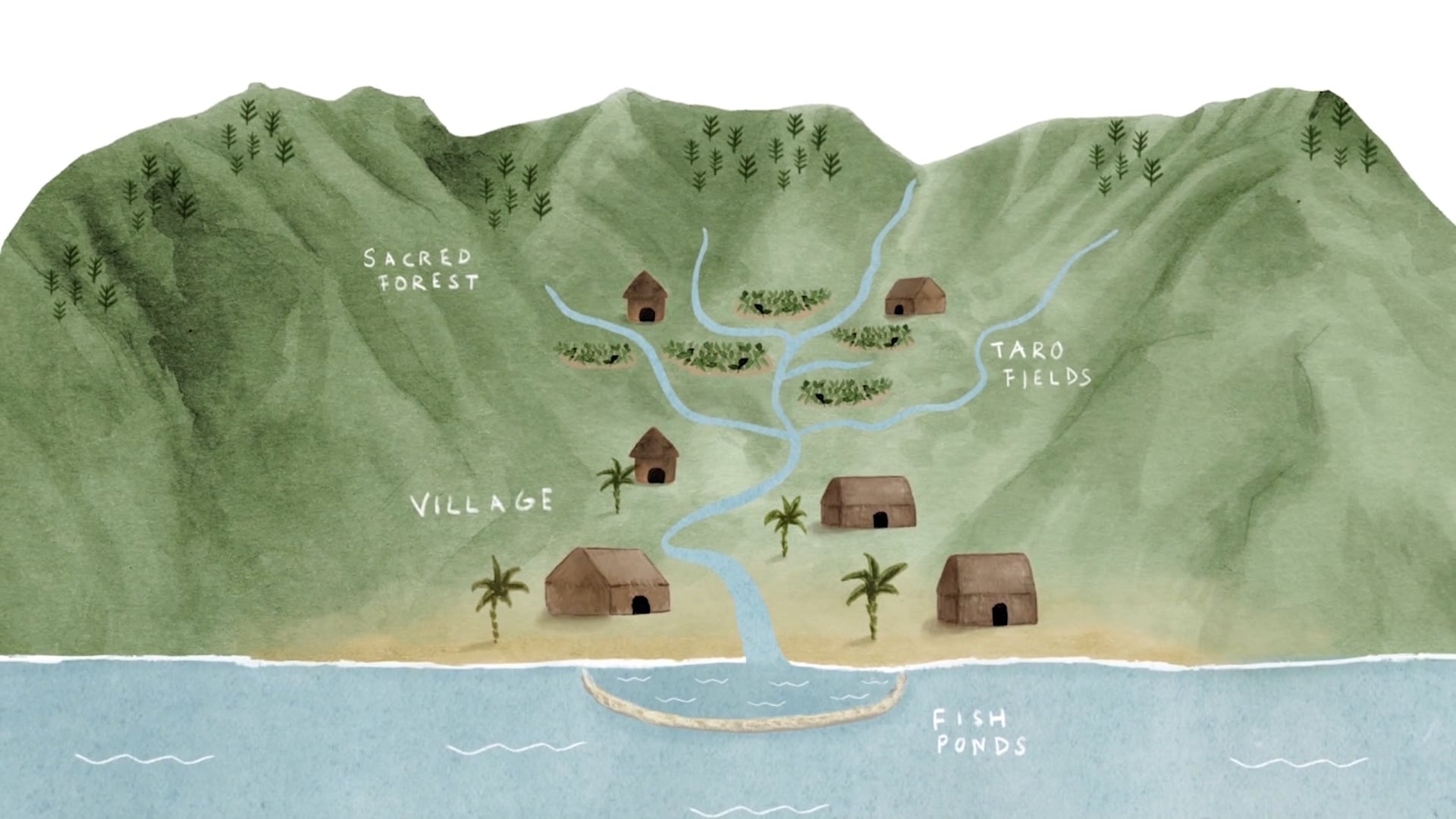 Island Earth- Ahupua'a System on Vimeo