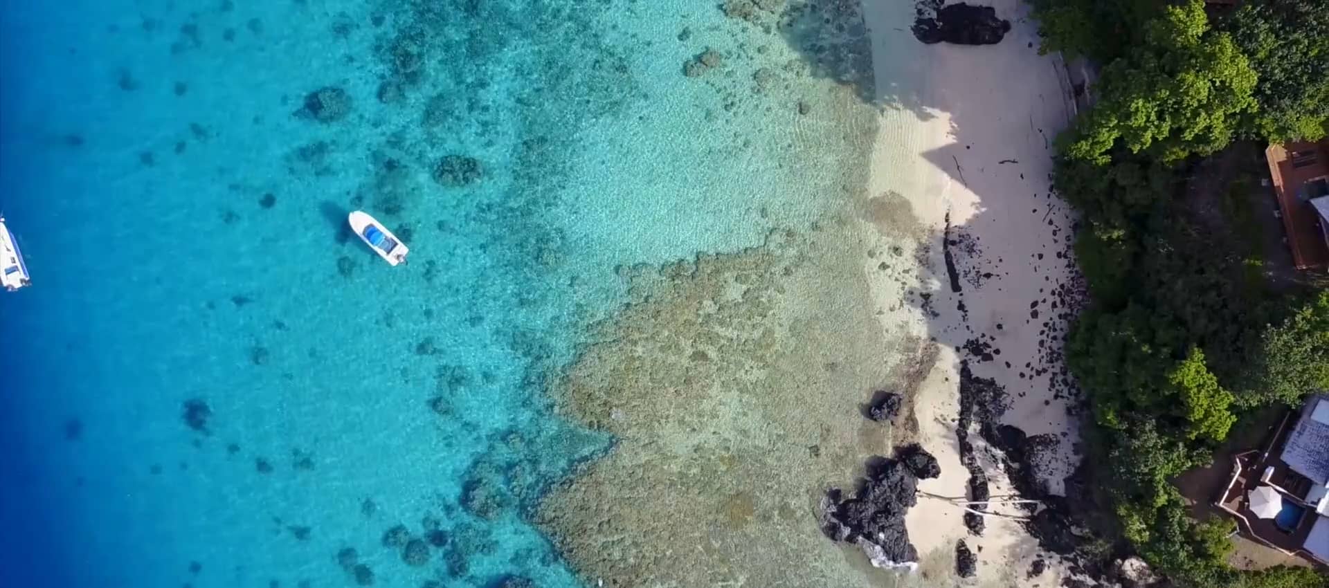 ROYAL DAVUI OFFICAL VIDEO on Vimeo