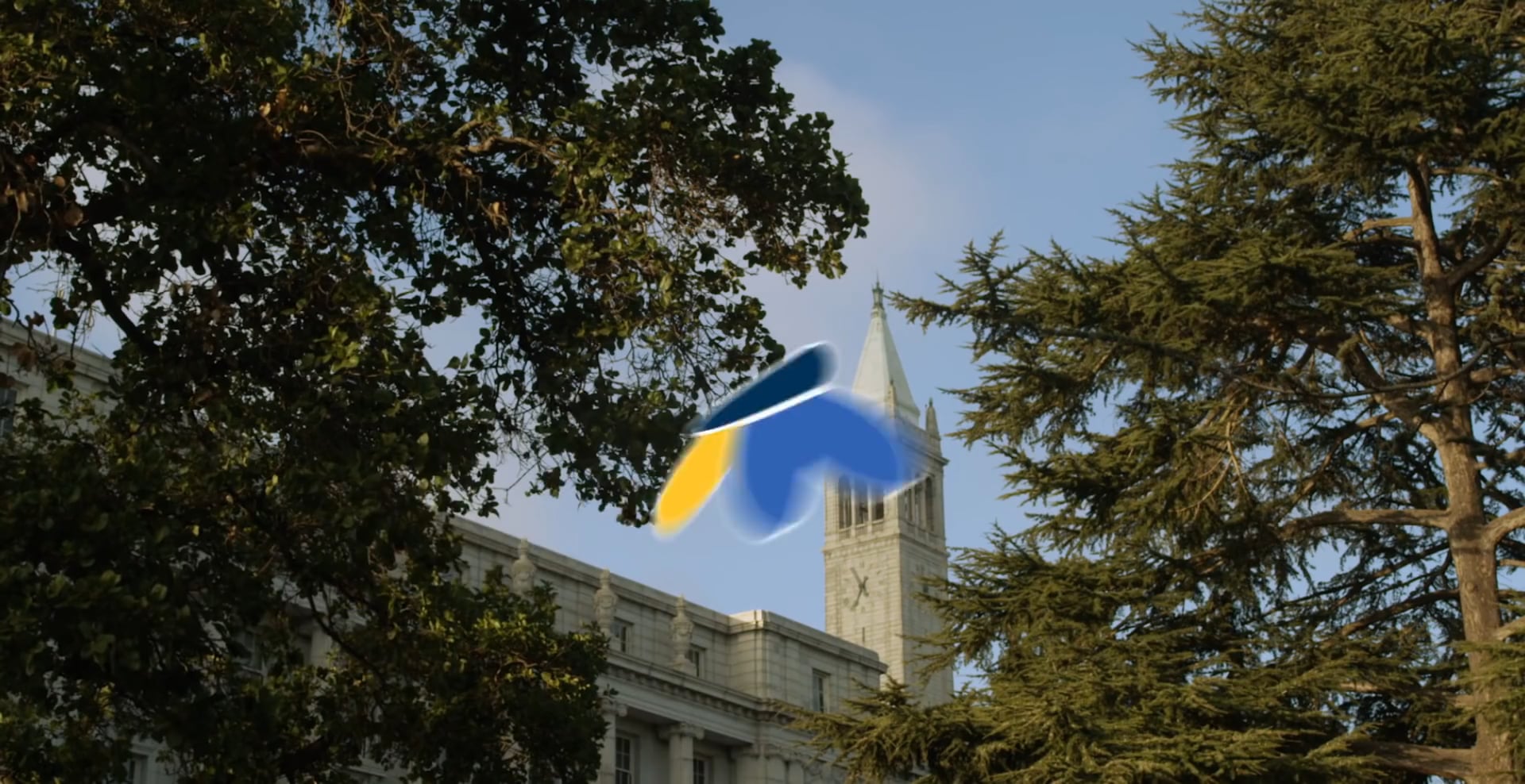 Chris Biagi - MGD - Corduroy Media - UC Berkeley - "Big Give Berkeley ...