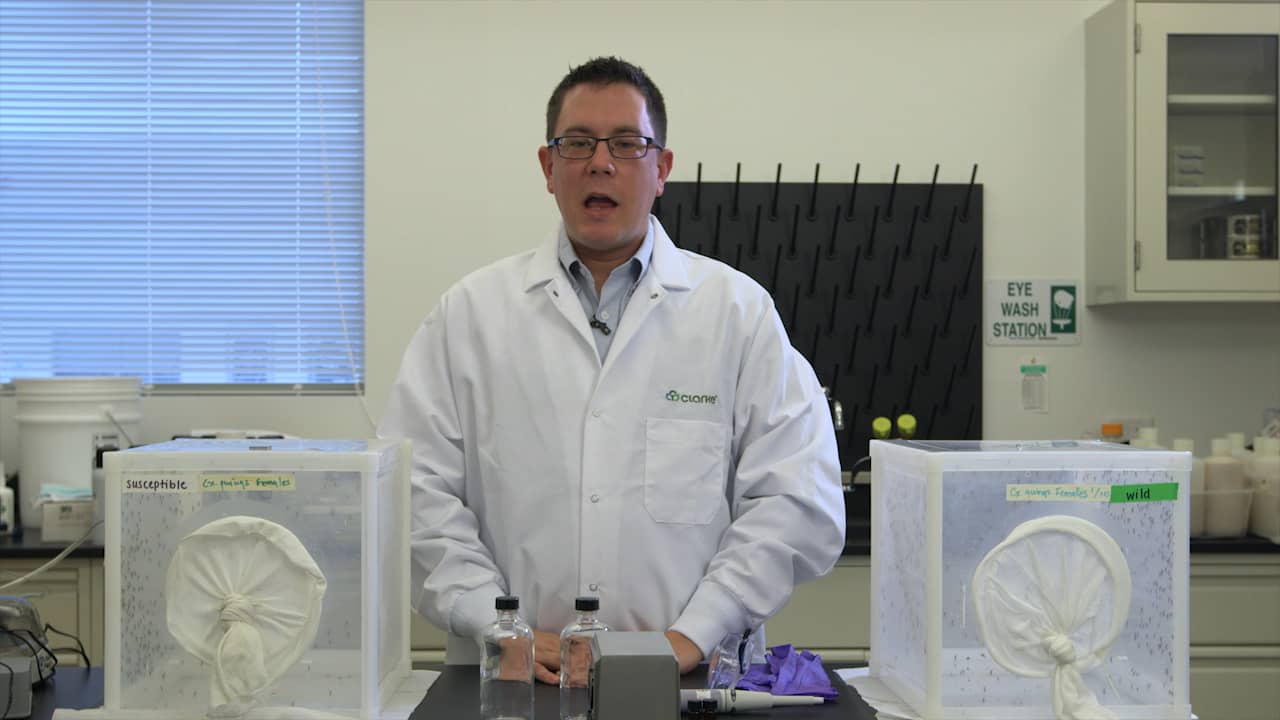 Understanding a Bottle Bioassay.| Clarke on Vimeo