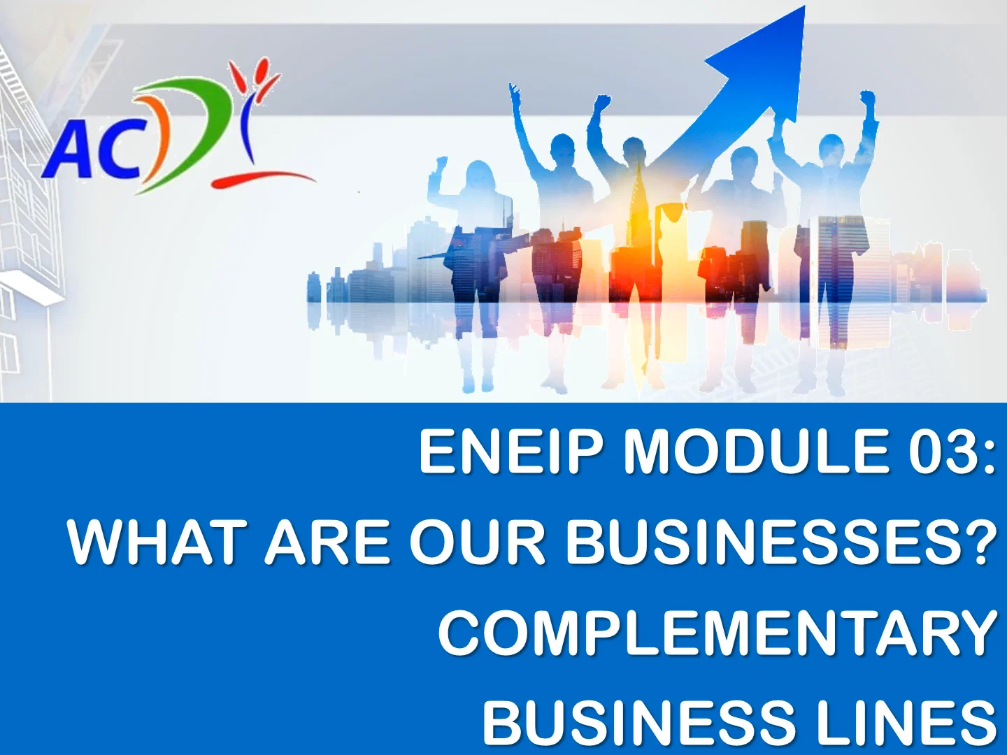 Module 3 Complementary Business Lines new on Vimeo