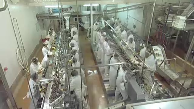 Processing — Science Learning Hub