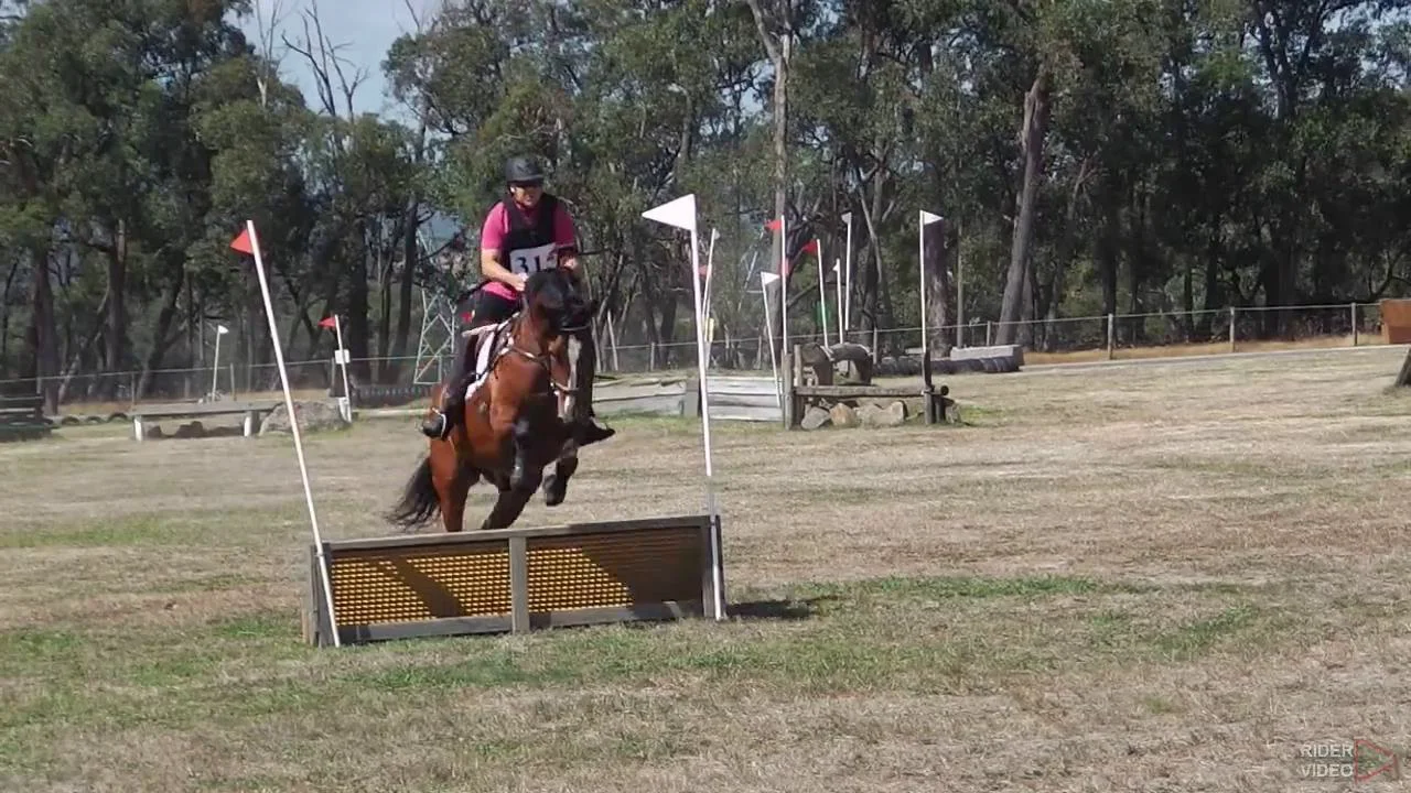 Craig Spratling riding Kathmandu 315 Grade 4 Seville Horse Trials 2017 ...