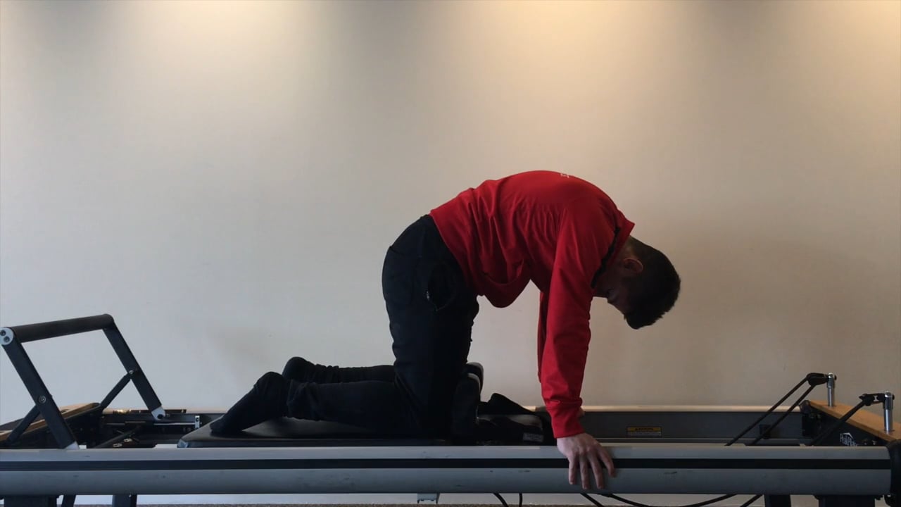 Cat Curl - Exercise of the Fortnight on Vimeo