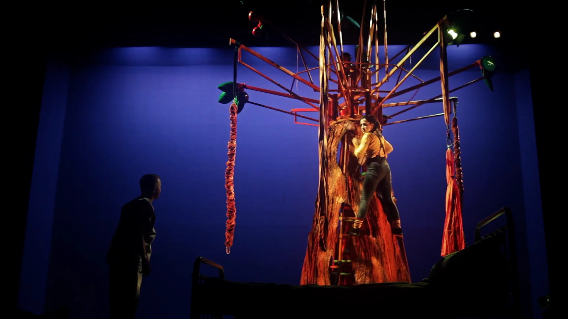 Tree on Vimeo