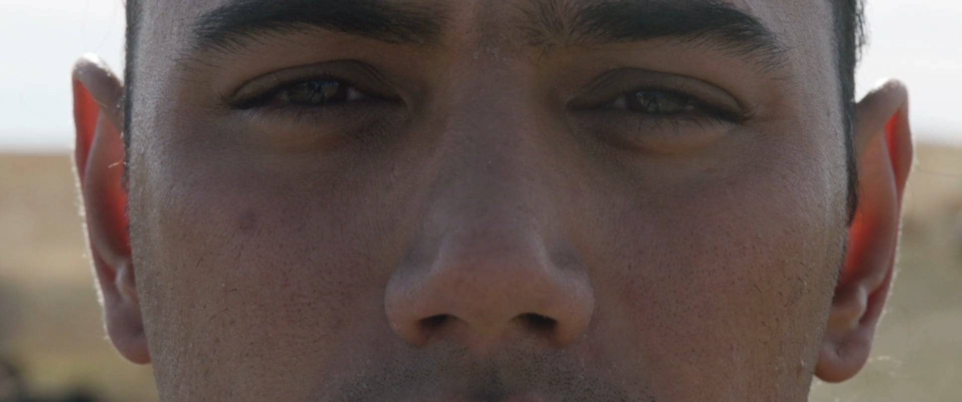 Run Free (tonight) : Will "Rayne" Strongheart feat Jamie Lerose