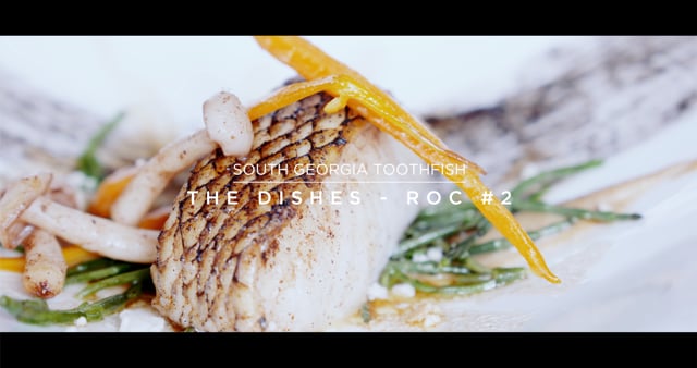 South Georgia Toothfish - ROC Amsterdam on Vimeo