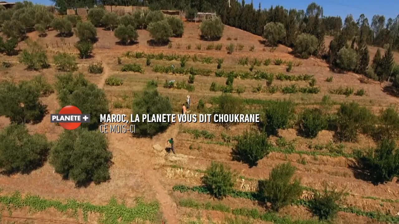 Maroc, la planète vous dit Choukrane sur PLANÈTE PLUS CANADA on Vimeo