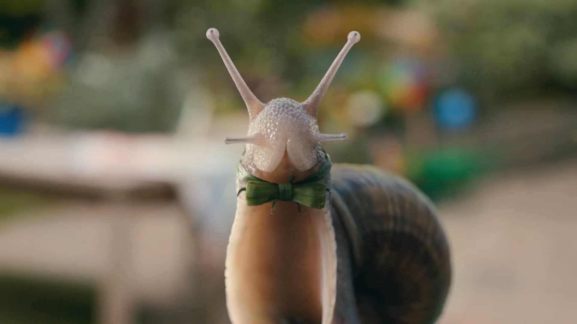 FREESAT COMMERCIAL - SHELDON THE SNAIL on Vimeo