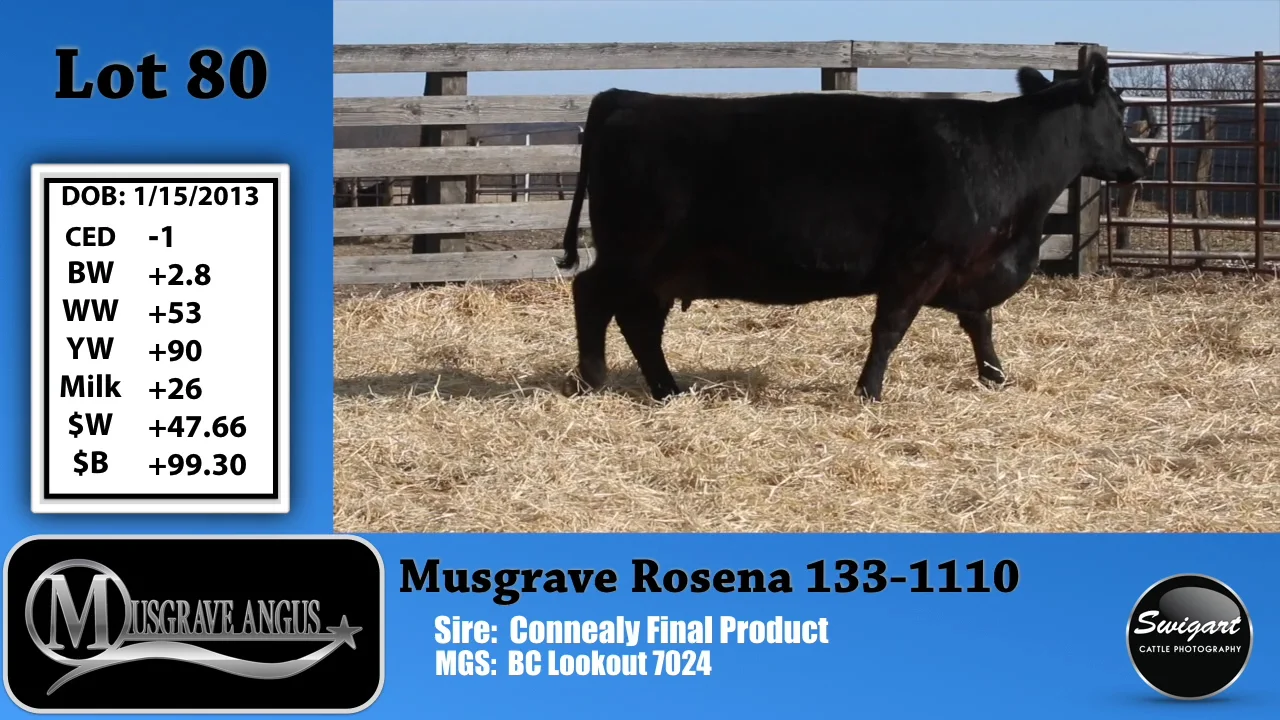 Musgrave Lot 80