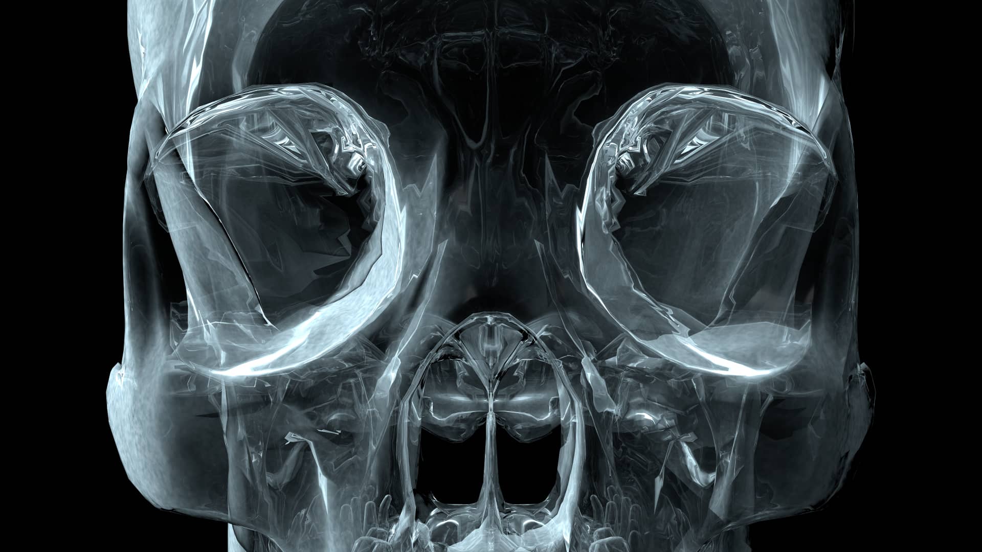 Skull 001 HD, 4K Stock Video on Vimeo