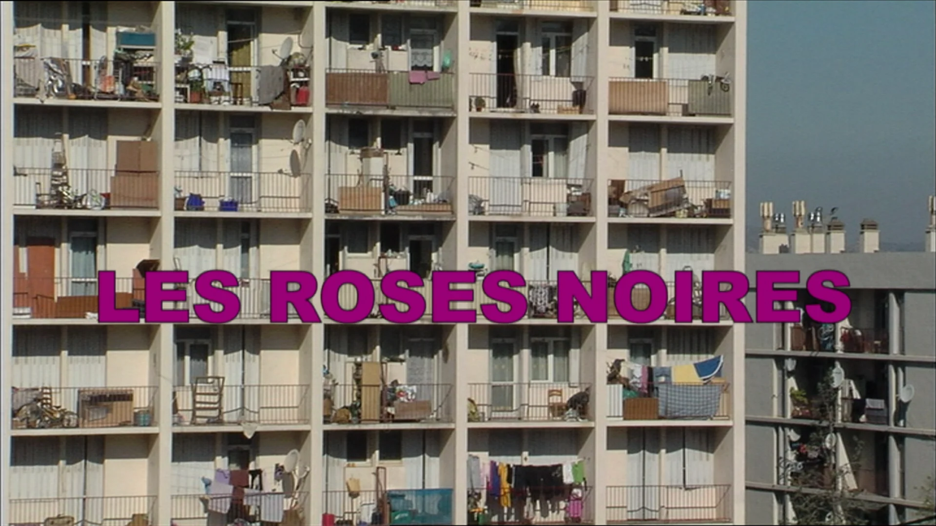LES ROSES NOIRES - Teaser on Vimeo