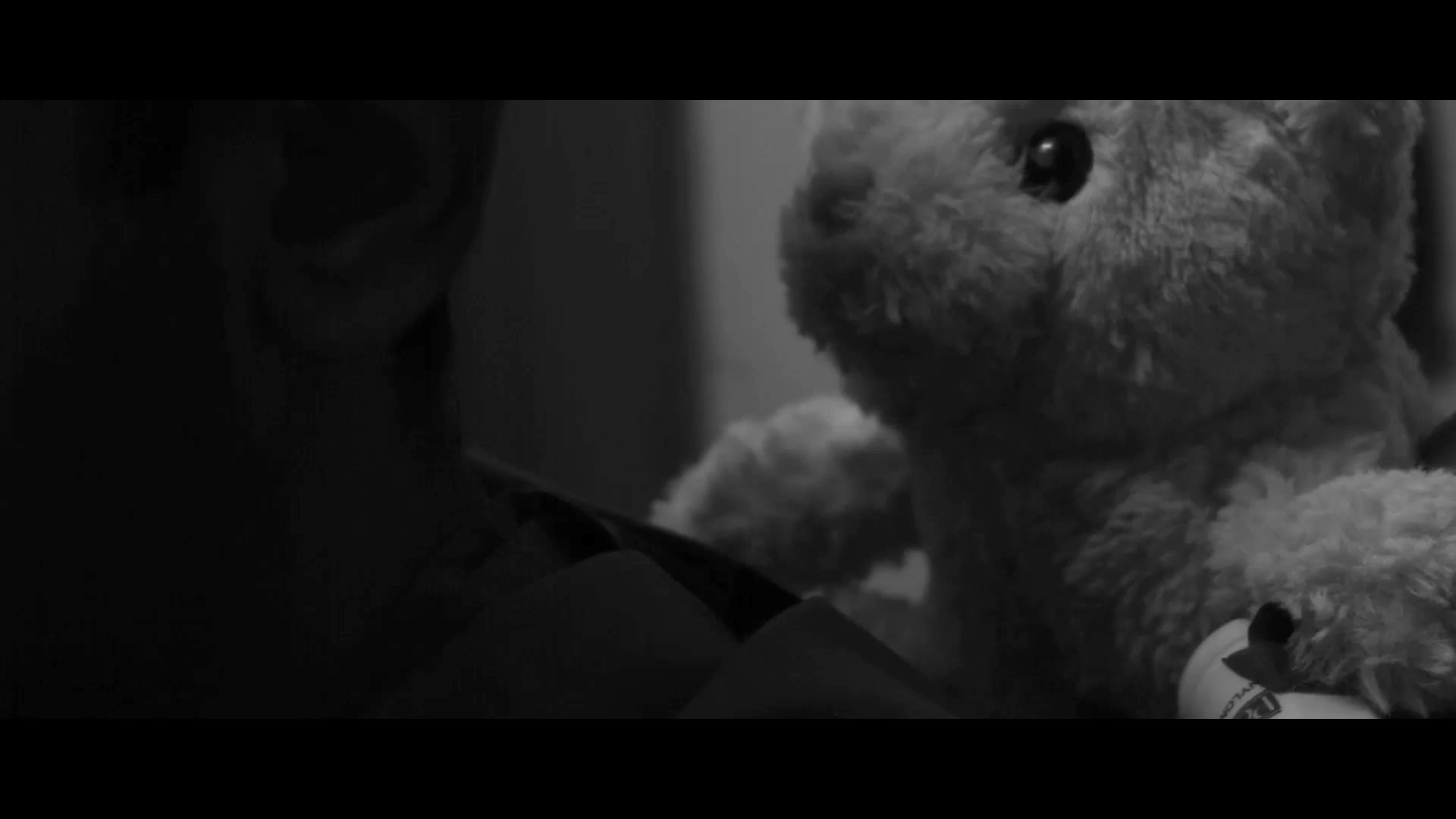Teddy on Vimeo