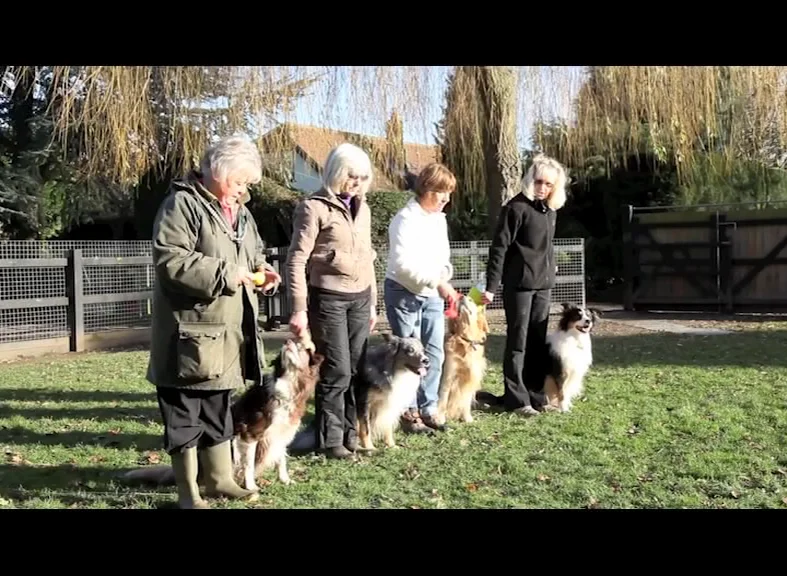 Natures Menu Trade Advert on Vimeo