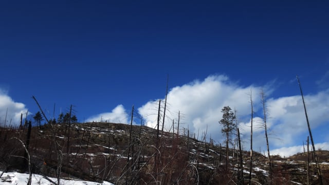 Okanagan Winter Forest Fire - Free video on Pixabay