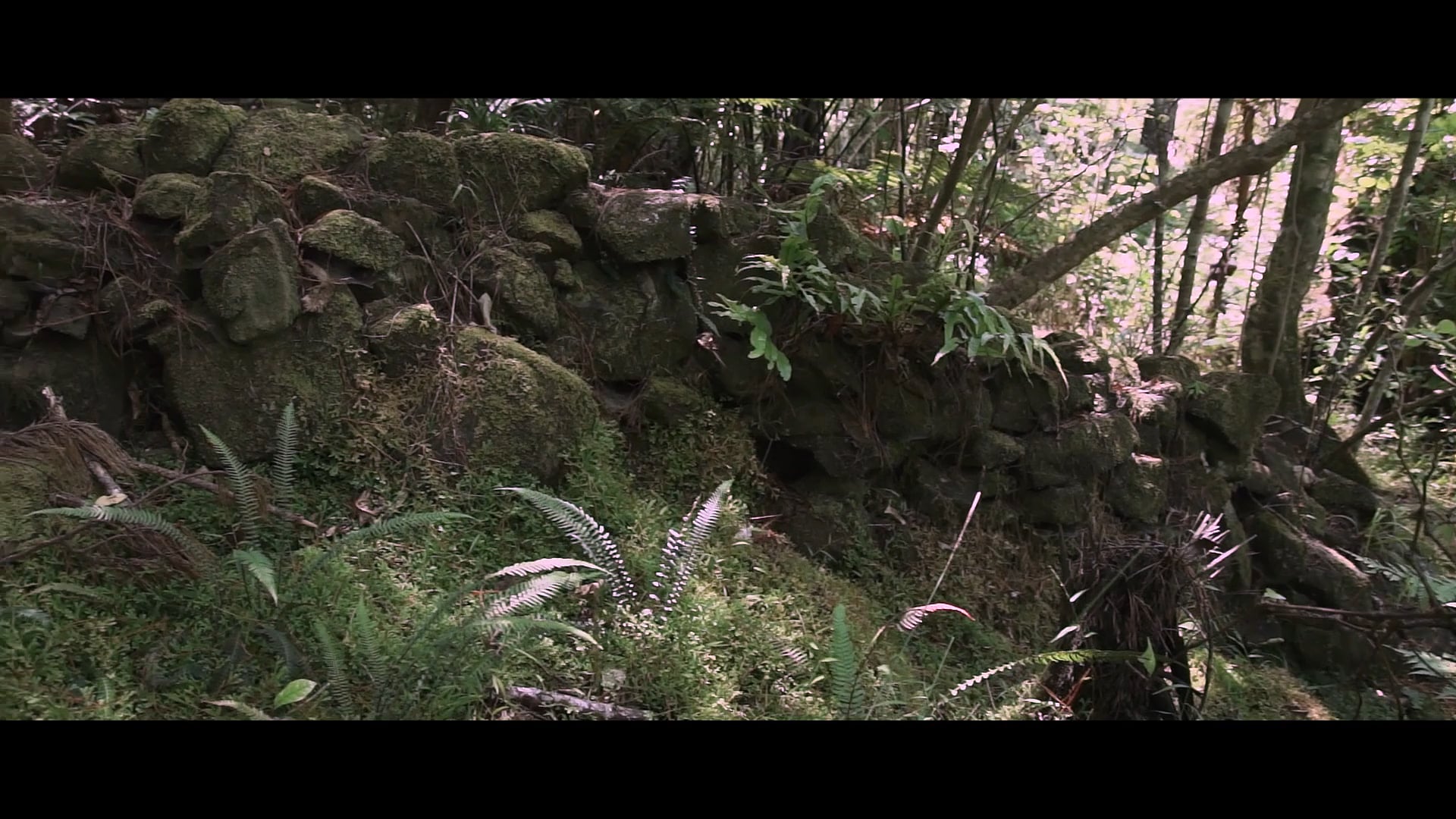 WAHI TAPU PITCH TRAILER on Vimeo