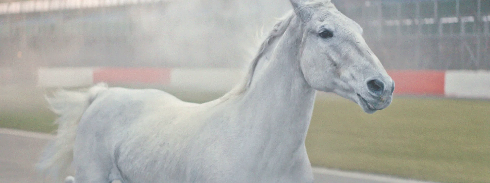 F1 /// NO MORE ONE HORSE RACE // SEASON LAUNCH / 360 CAMPAIGN