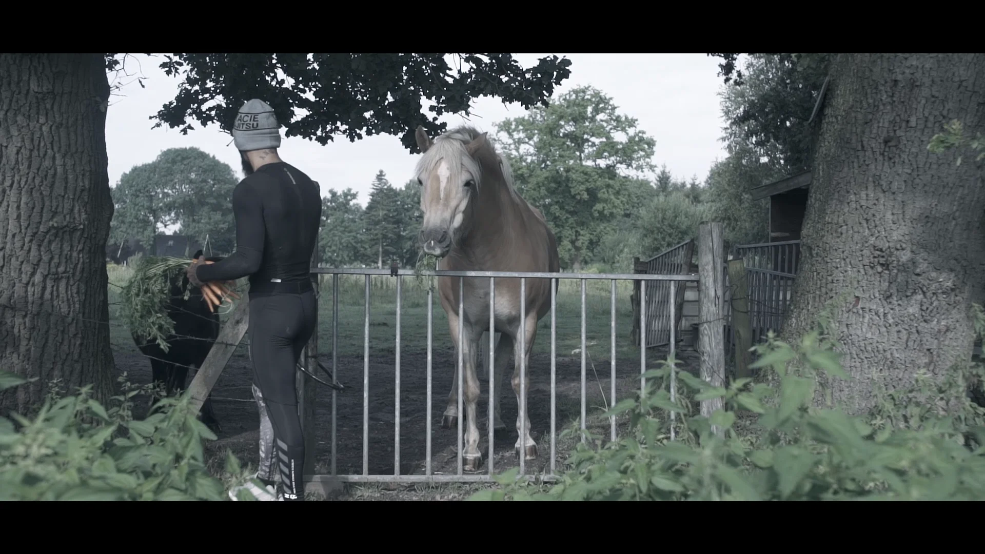 THE HOW: 02 - A Neurotic Comedy Show That Makes Sense - Johnny B.A.N.G ...