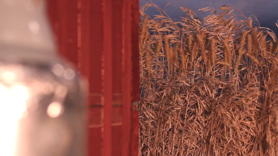 Farm- stop motion animation (test) on Vimeo