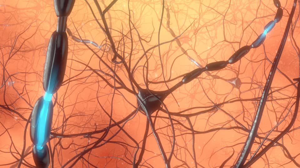 360° Neural activity on Vimeo