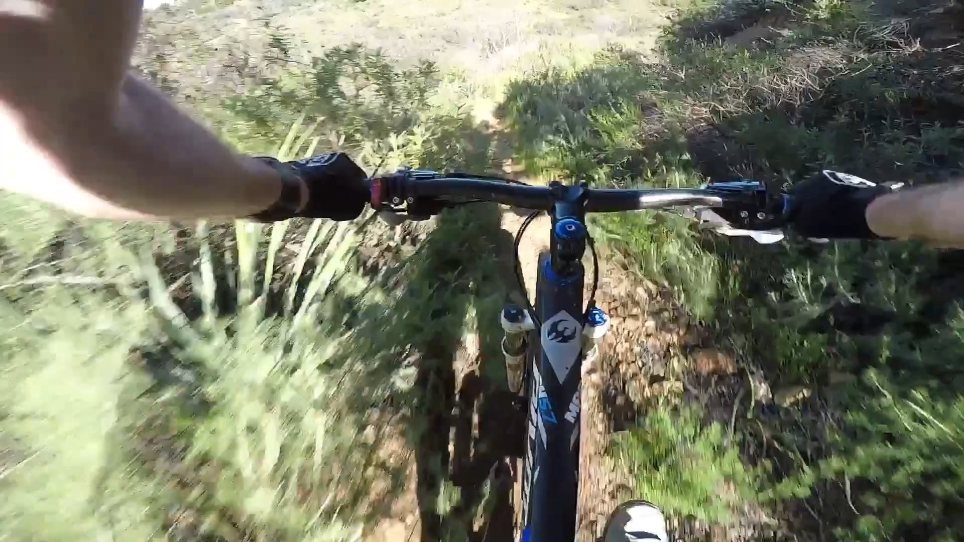 Lapsidasical on Vimeo