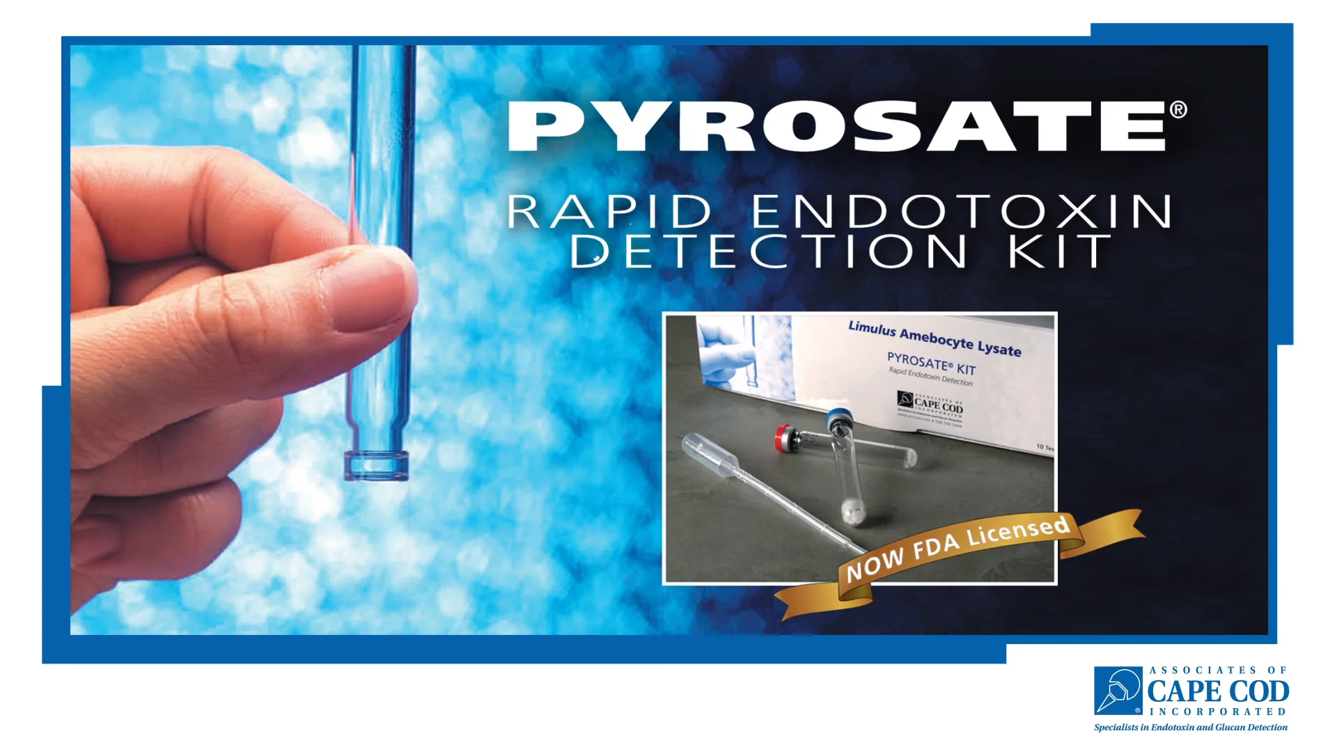 2017 Pharmacy Platinum Pages - Associates of Cape Cod | PYROSATE ...