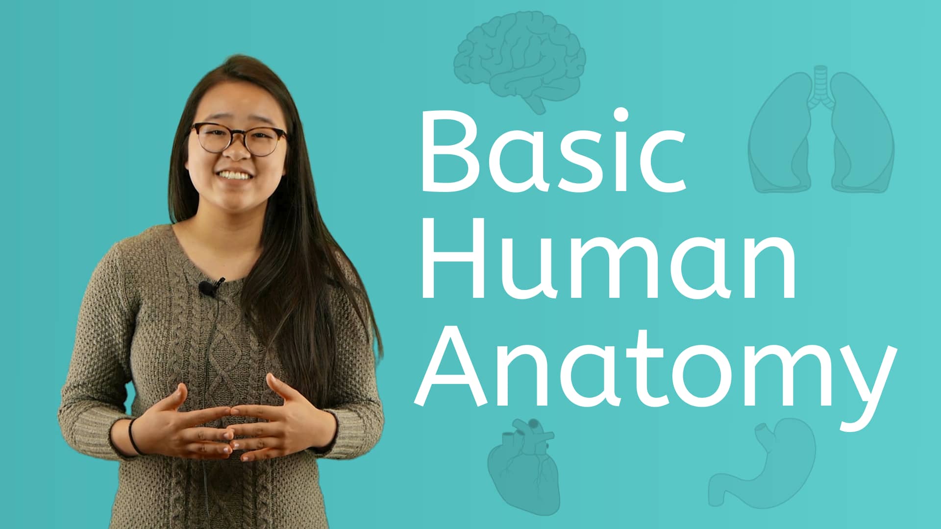 Basic Human Anatomy on Vimeo