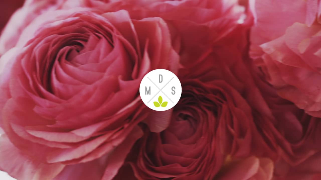 Mayesh Design Star Workshop on Vimeo