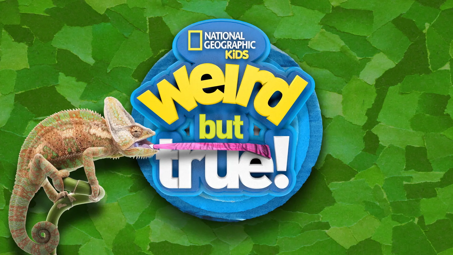 TD P&A samples - Weird But True! Season 1 show open on Vimeo