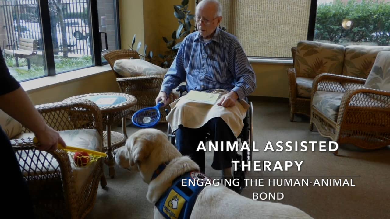 Animal-Assisted Therapy: Engaging the Human-Animal Bond on Vimeo