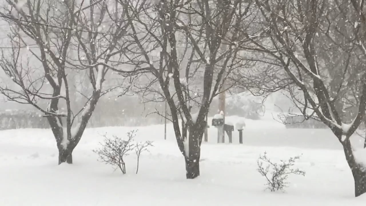 Anti Blizzard 03-2017 on Vimeo