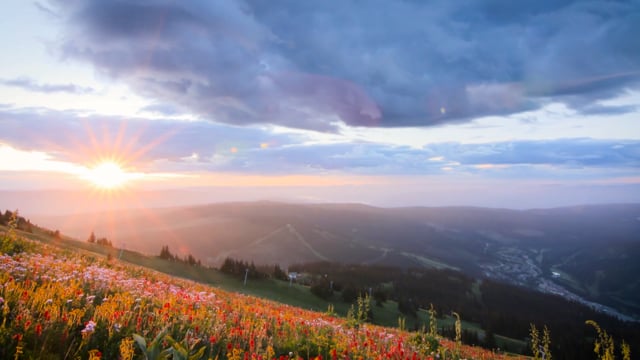 Sun Peaks Summer on Vimeo