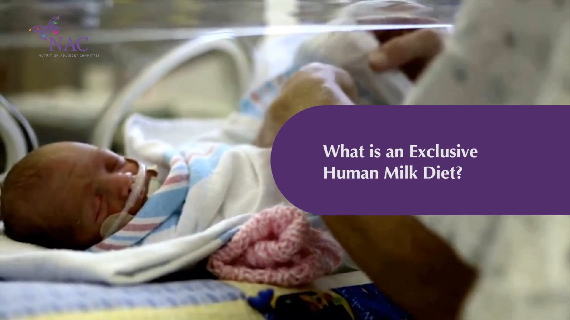 What defines an exclusive human milk diet? on Vimeo