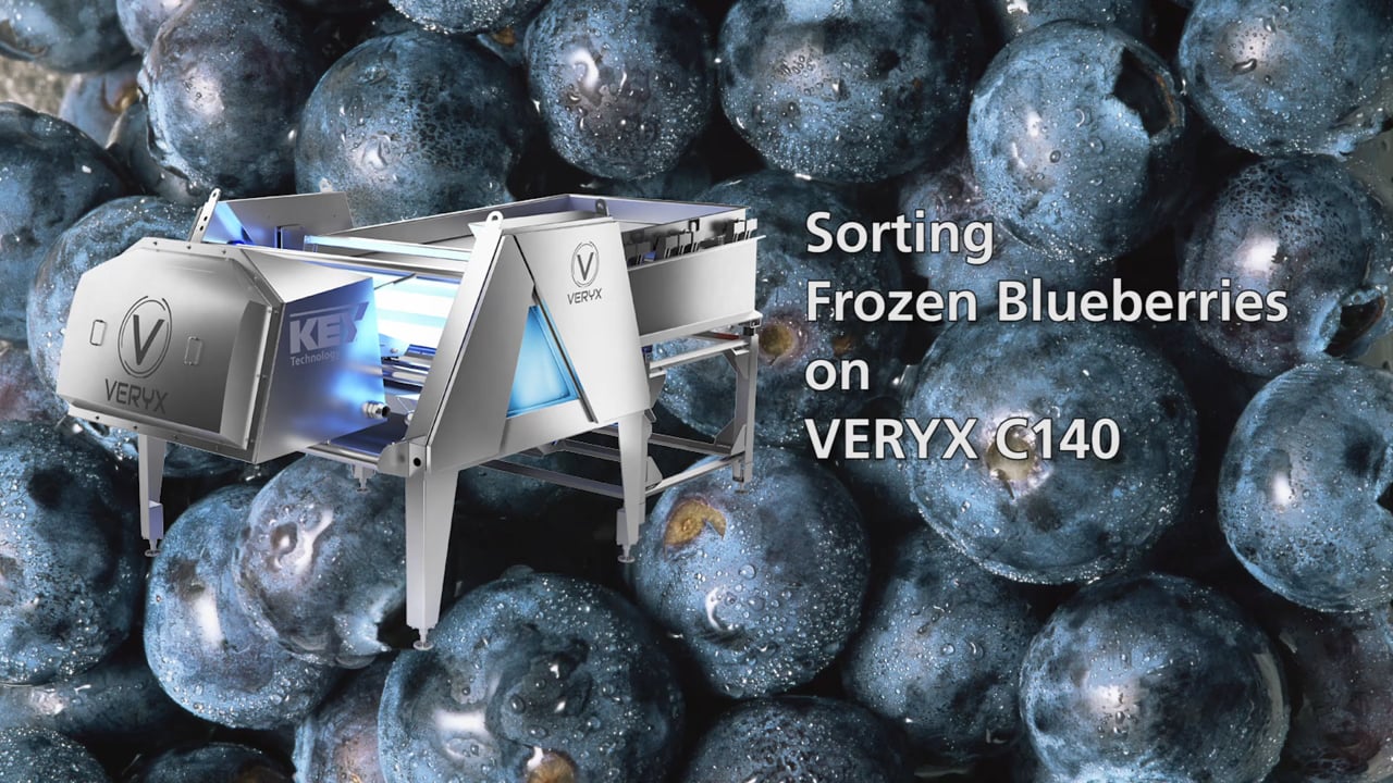 Automated Food Sorting Machine - Optical Food Sorting Platform | Key ...