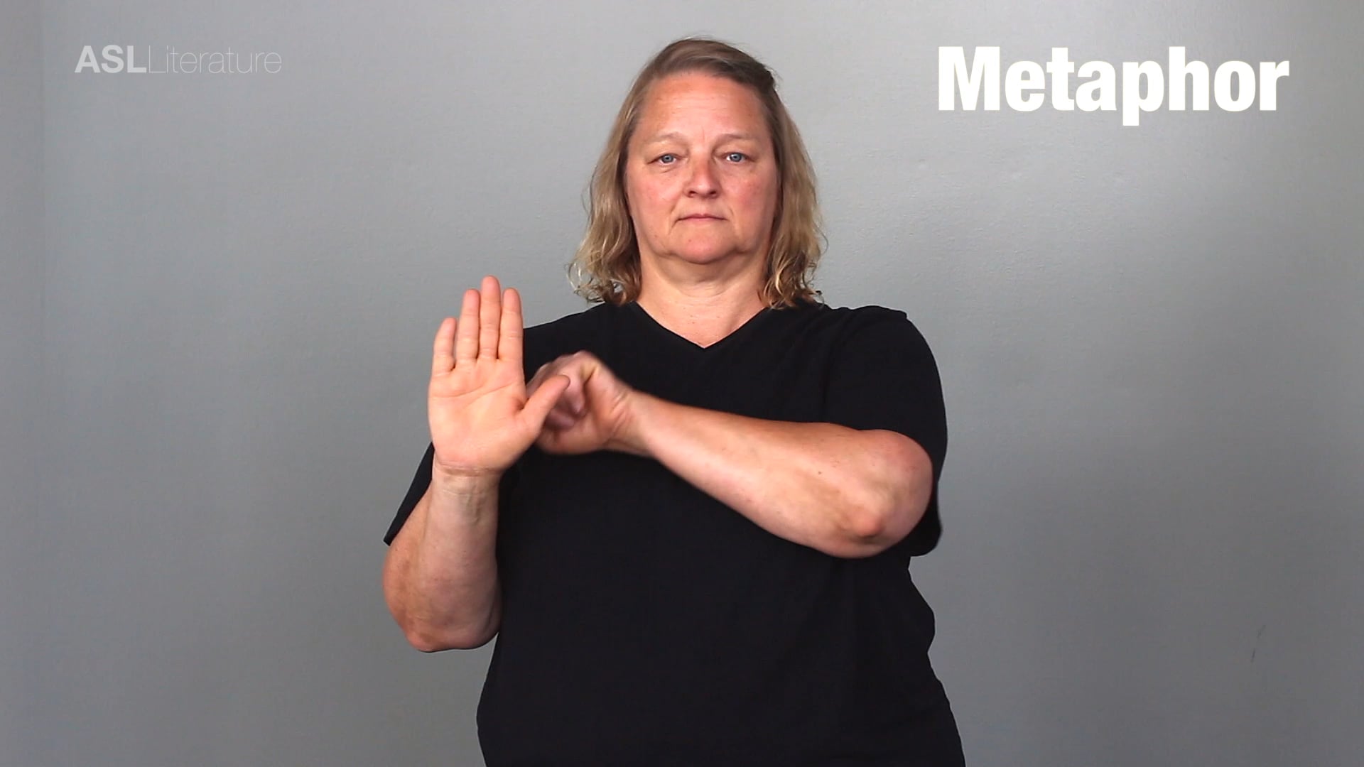Metaphor Sign 1 on Vimeo