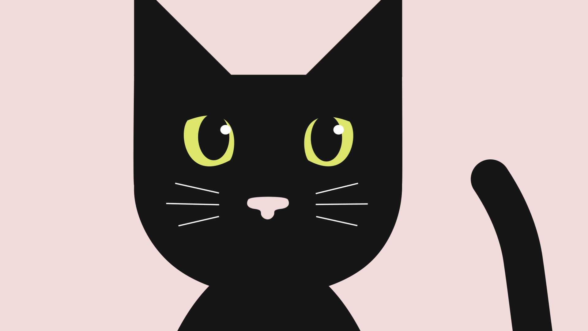 Katze 2D Animation | Cat 2D animation on Vimeo