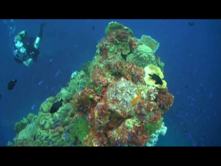 UNKAI RIO DE JANEIRO MARU on Vimeo