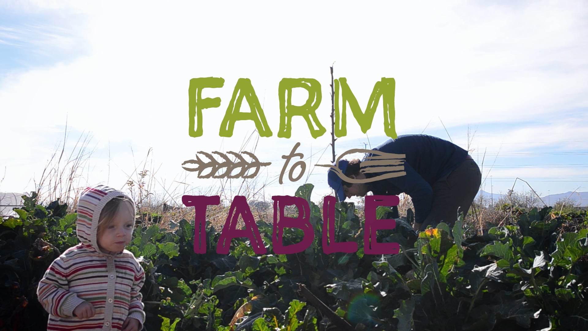 Farm to Table | Community Food Bank on Vimeo