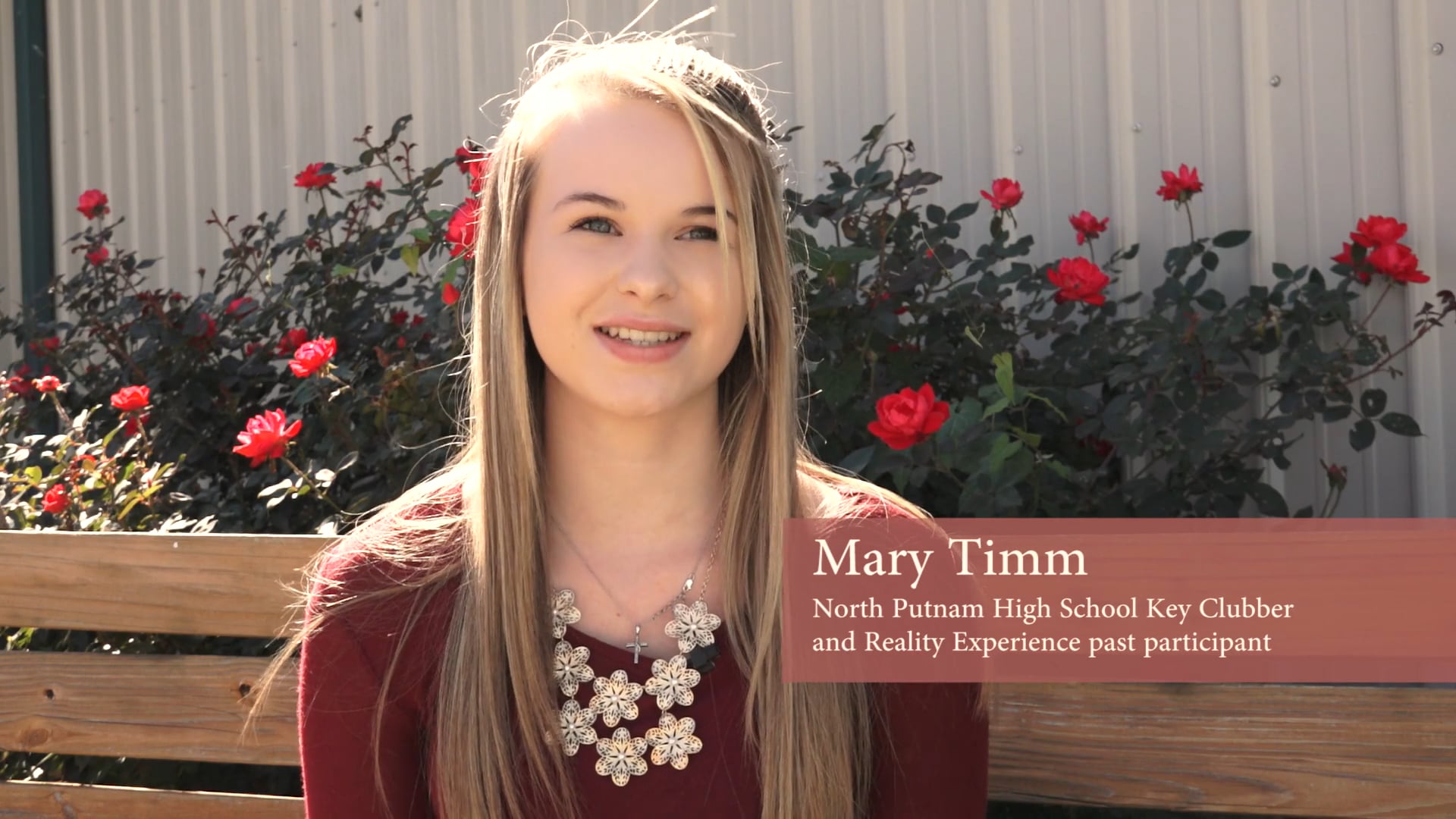 Mary Timm talks Wheel of Life in The Reality Experience on Vimeo