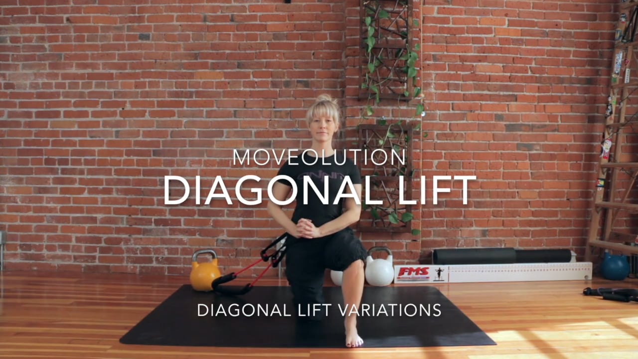 Half Kneeling Diagonal Lift on Vimeo