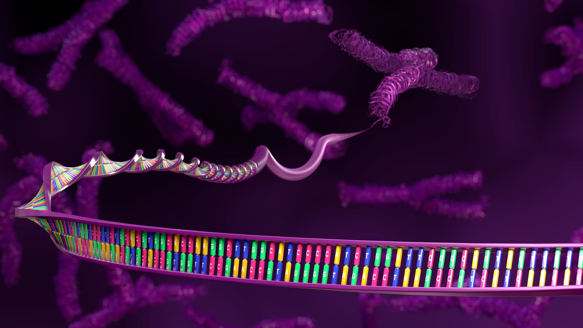 DNA Shot 1 - Vampire Bat Documentary on Vimeo